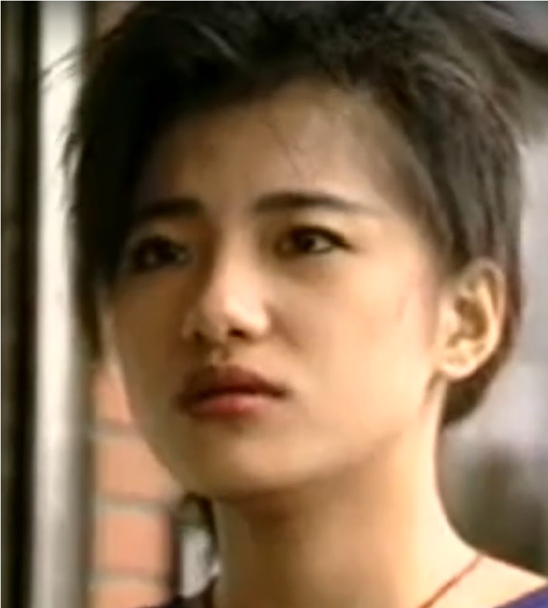 野草咸花 (Ye Cao Xian Hua, 1989) :: 一切关于香港，中国及台湾电影